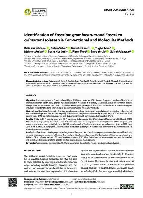 Pdf Identification Of Fusarium Graminearum And Fusarium Culmorum