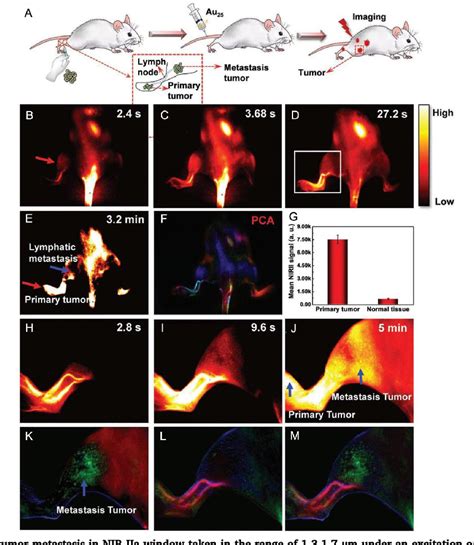 Figure 3 From Atomically Precise Gold Nanoclusters For Healthcare Applications Semantic Scholar