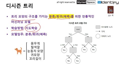 디시즌트리 모델의 핵심적인 기본개념 이해하기 미리어드 스페이스 인공지능 머신러닝 딥러닝 저자 직강 시리즈