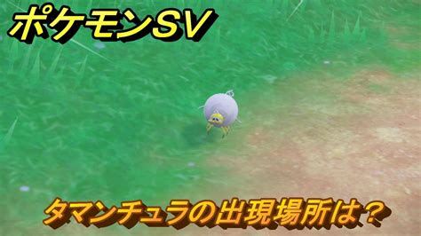 ポケモンsv タマンチュラの出現場所は？ポケモン図鑑を埋めよう！ 図鑑no12 【スカーレット・バイオレット】 ニコニコ動画