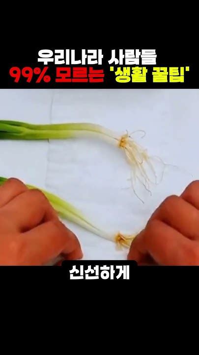 한국 엄마들 99 처음보는 생활 꿀팁 Youtube