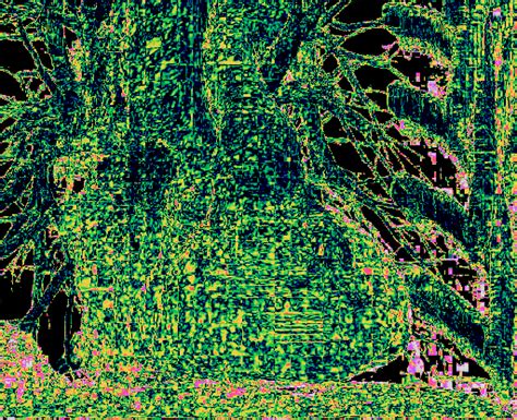 Comparisons Between Wavelet Quantization Wq Based Compression A