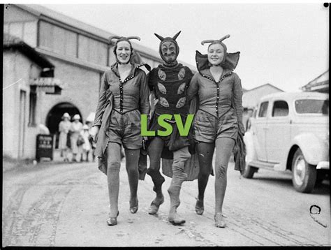 Lsv Meaning
