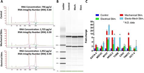 Gene Expression Analysis A Assessment Of Rna Qualities And