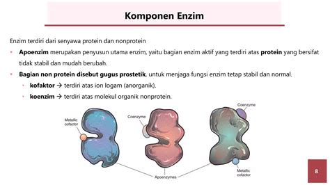 Bab 2 Enzim Dan Metabolisme 2 Pptx