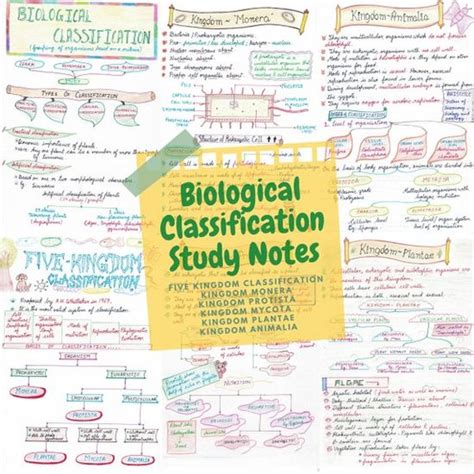 Newtondesk Newtondesk Profile Pinterest