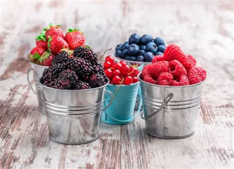 Frutos rojos o frutos del bosque qué son tipos consumo conservación