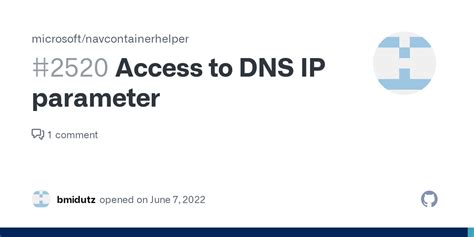 Access To Dns Ip Parameter · Issue 2520 · Microsoftnavcontainerhelper · Github