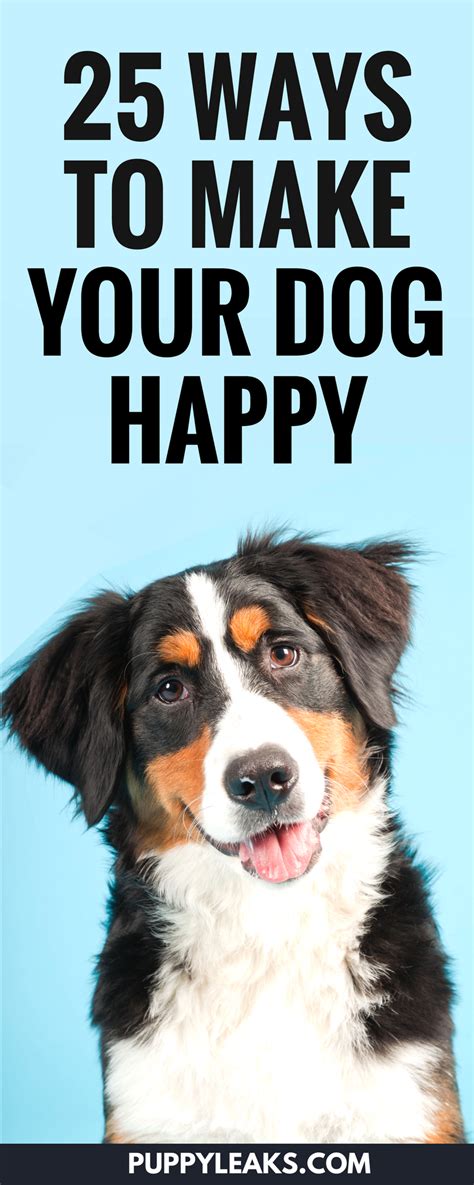 25 Easy Ways To Keep Your Dog Happy Puppy Leaks