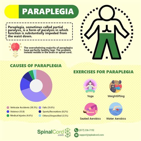 Paraplegia Paraplegic Definition Causes Symptoms And Treatment
