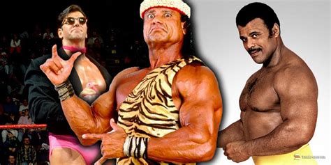Wwe Wrestlers With The Most Wins In A Single Year