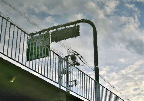 Reflection Ganref