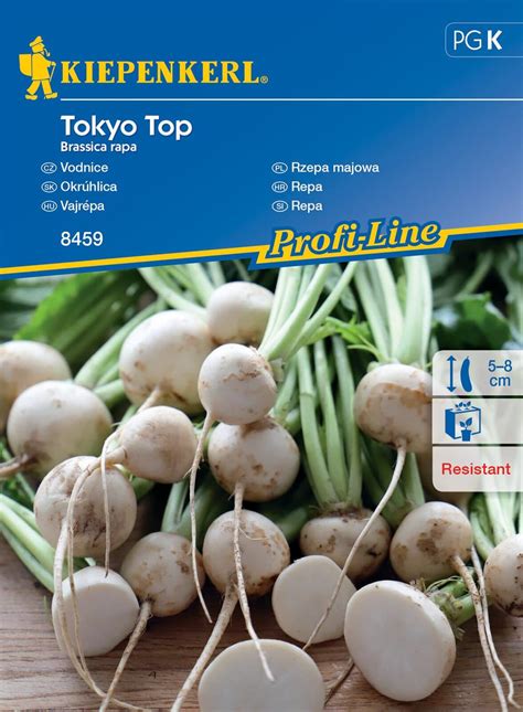 Rzepa Majowa Tokyo Top F1 Zielony Ogródek Twój Internetowy Sklep Ogrodniczy Online