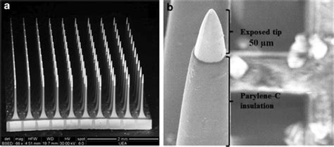 scanning electron micrographs of an entire utah electrode array a and