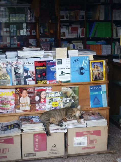 Дети и книги