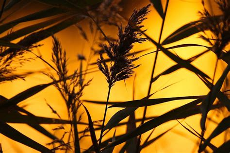 Serverless Vs Traditional Architecture Medium