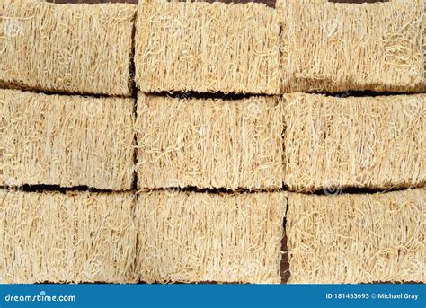 Рвали крупным планом фон зерна пшеницы Стоковое Изображение