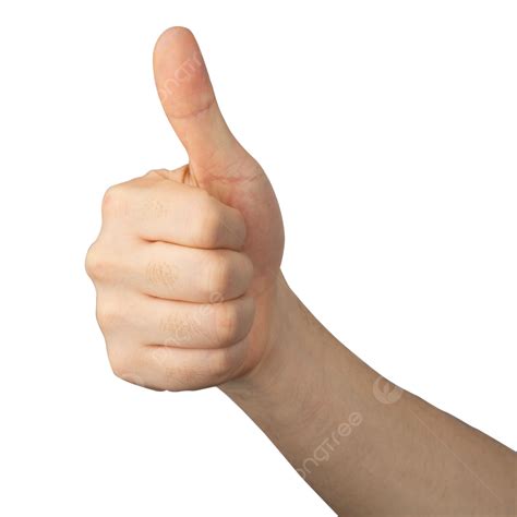 Thumb Up Gesture Hand Finger Modeling PNG Transparent Image And