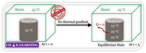 Differentiate Between Steady State And Equilibrium State Insight Into