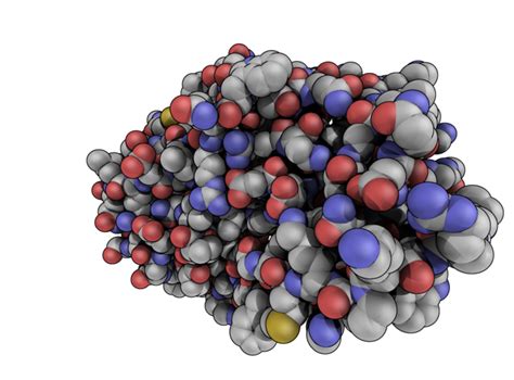 用pymol制作分子结构图像及所用脚本pymol怎么编辑分子 Csdn博客