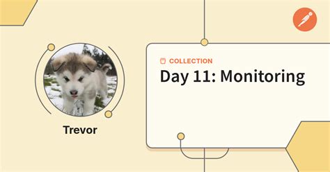 Day 11 Monitoring 30 Days Of Postman For Developers Workspace Postman Api Network