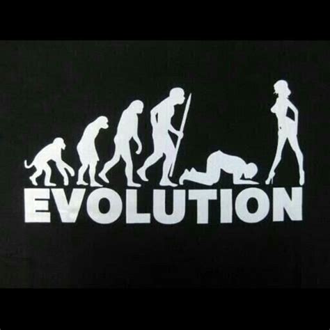 Evolution Egin