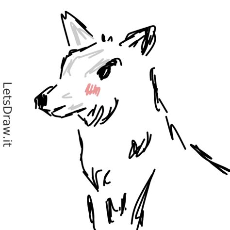 How To Draw Wolf G77edi3r4 Png LetsDrawIt