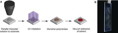 A Schematic Of The Formation Of A Materials Microarray By Depositing