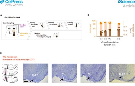 Figure From Bi Directional Encoding Of Context Based Odors And