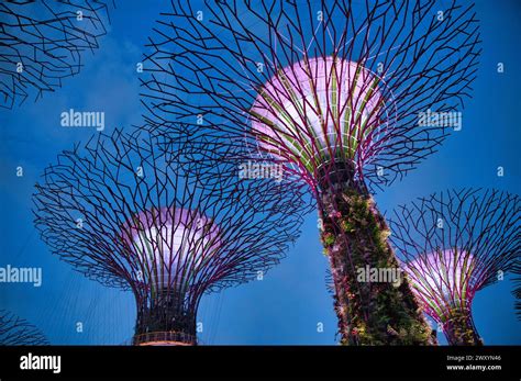 Illuminated Futuristic Tree Like Structures Against A Twilight Sky At A