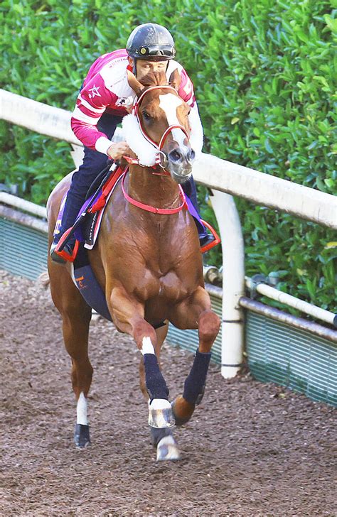 【日本ダービー】外国産馬初制覇で凱旋門賞参戦へ 矢作調教師「弾んでいたね。はるかに良くなっています」 スポーツ報知