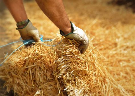 Is Hay Good Mulch For Gardens Fasci Garden