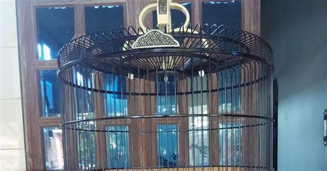 Jual Sangkar Murai Batu Ukiran Jati Harga Murah Merk MSJ Jual Sangkar Burung Murai Pleci