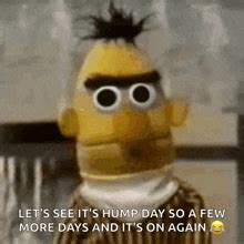 Bert Ernie Memes Pin On Bert And Ernie