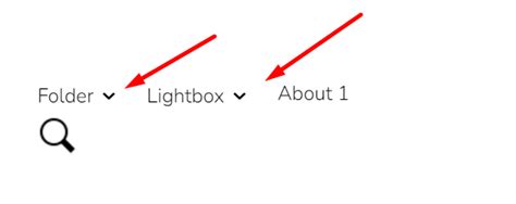 Squarespace Dropdown Menu Code BEAVER HERO