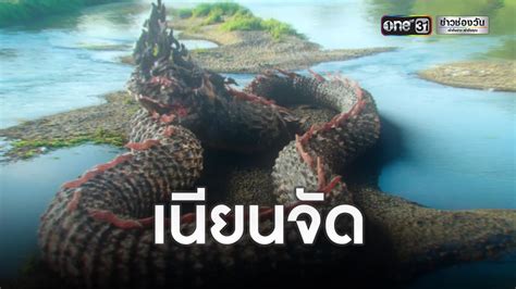 แห่สาธุ ‘พญานาค เล่นน้ำให้เลขเด็ด 3 ตัว Th