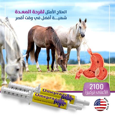 Omeprazole Plus 2100 Royal B Vet Company Powered By Bayanalysis