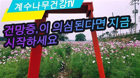 유익한 치매예방퀴즈 치매예방게임건망증예방건강건강정보퀴즈 Youtube