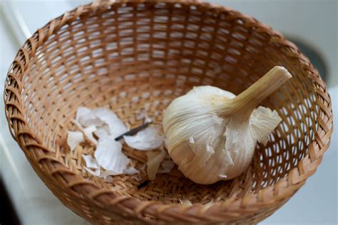 무료 이미지 목재 요리 식품 마늘 생기게 하다 야채 코코넛 표고 버섯 5184x3456 350662 무료 이미지 Pxhere