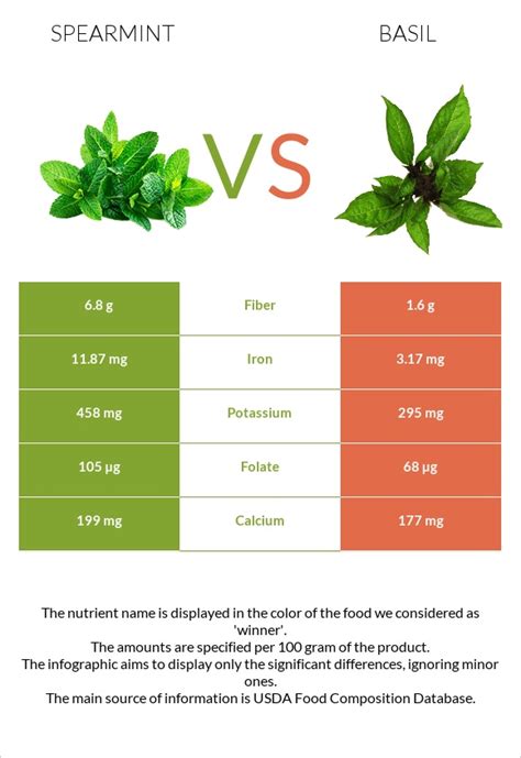 Spearmint Vs Basil — In Depth Nutrition Comparison