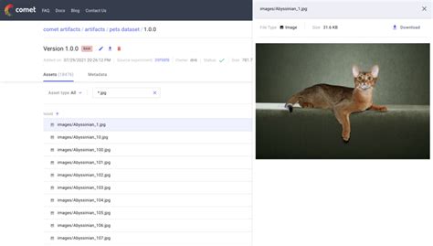 debugging your machine learning models with comet artifacts comet