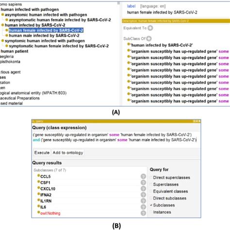 Sex Differences In Gene Ontology And Dl Query A Cido Ontological