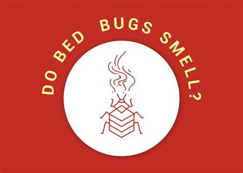 Do Bed Bugs Smell Dodson Pest Control