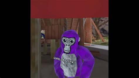 Pt1 Gtag Bot Youtube