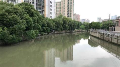 臭河浜为何变身居民“打卡点”？虹口区河道生态修复打造高品质生活空间市政厅新民网
