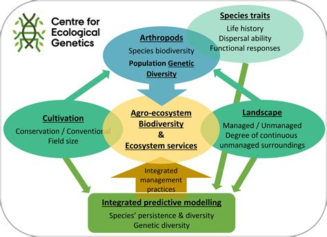 Project Centre For Ecological Genetics