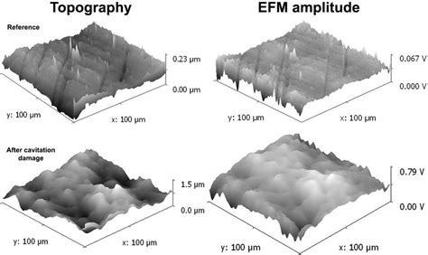 Electrostatic Force Microscopy Efm Results On The Stainless Steel