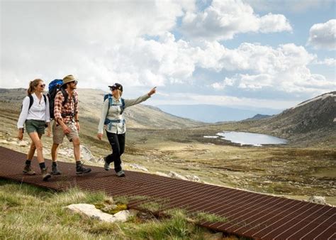 Your Thredbo Questions Answered Boali Lodge