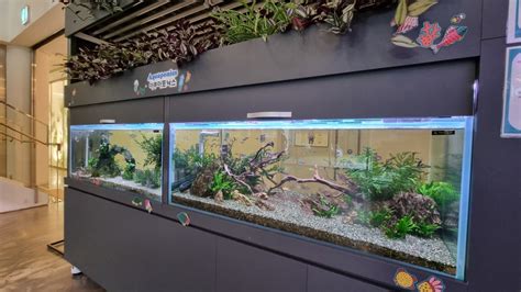 서울식물원에서 본 식물재배의 미래 수경재배 스마트팜 아쿠아포닉스 네이버 블로그