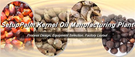 Setup A Profitable Palm Kernel Oil Processing Plant Design And